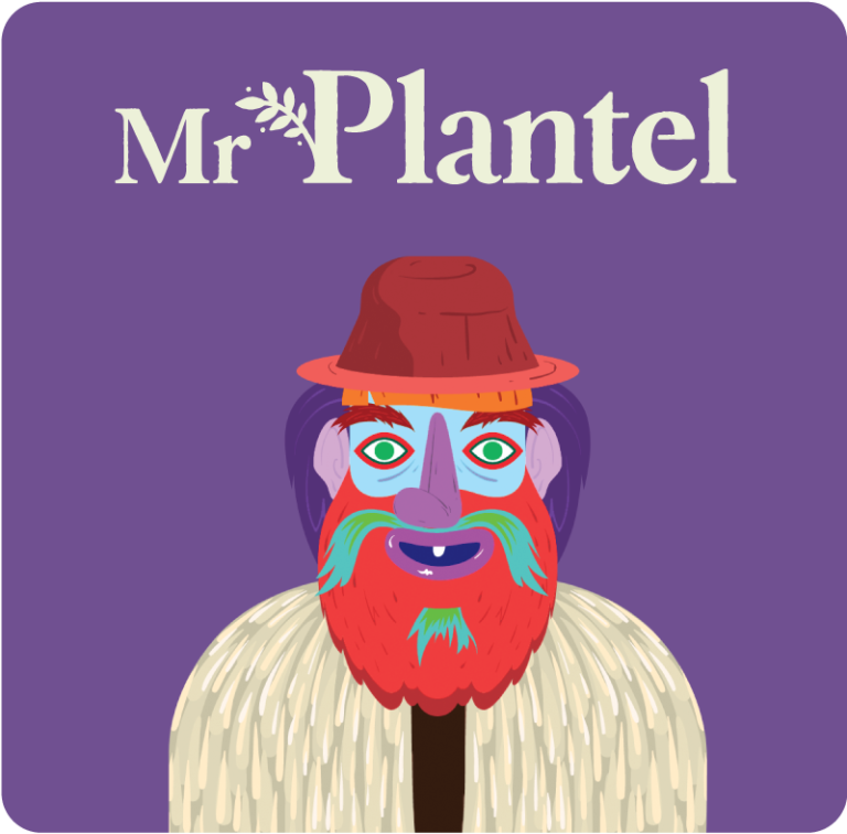 Verdino Green Foods – Plant Based Products